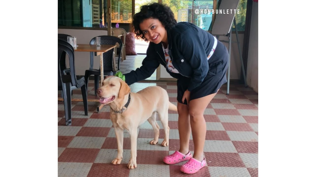 Diveagar Trip || Stay at pet friendly resort - ATHANG Staycation - YouTube