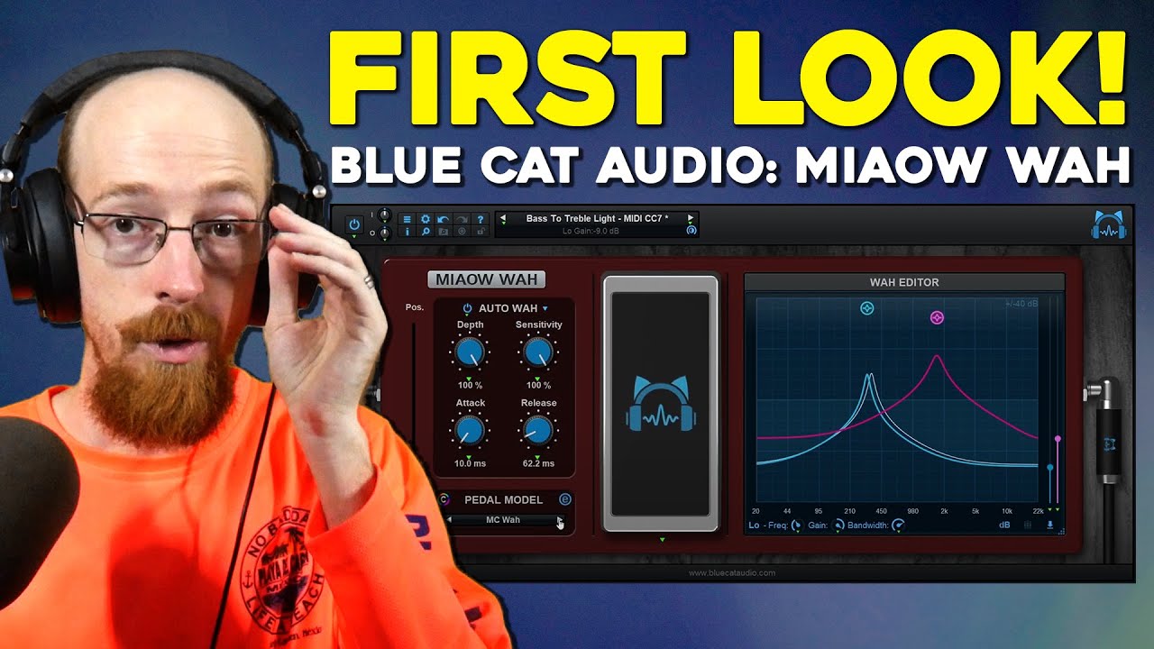 Blue Cat Audio Miaow Wah: First Look & Deep Dive into the New Wah ...