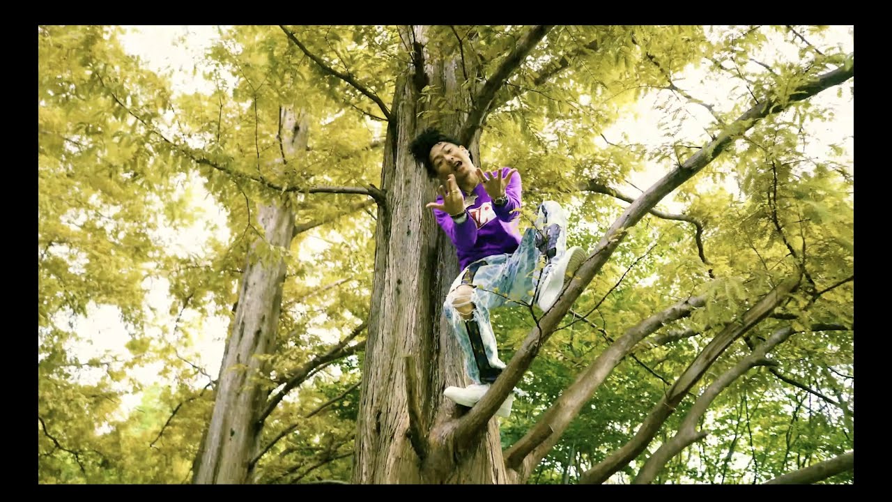 Cz TIGER - " SAIYAN " (Official Music Video) - YouTube