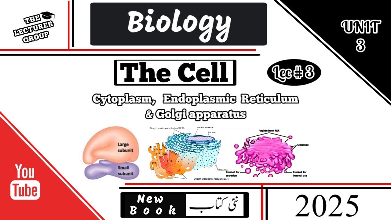 Ribosomes and Endoplasmic Reticulum | 9th Class new Biology 2025 - YouTube