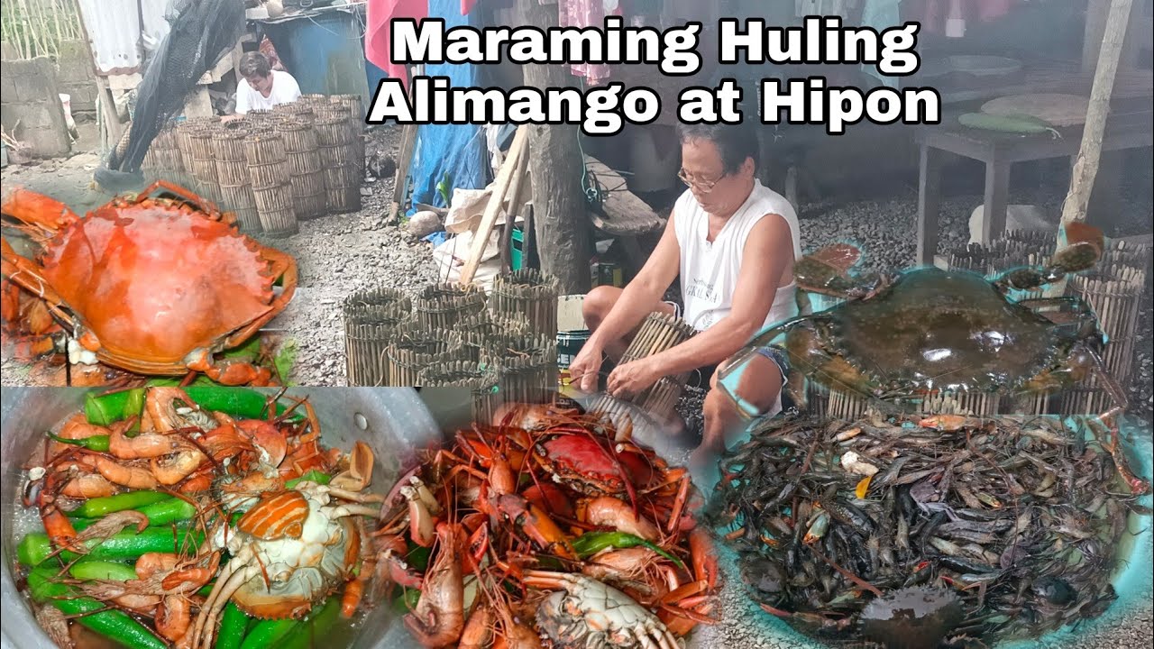 Sariwang Hipon at Alimango/Maraming Huli ang pain Vlog #365 - YouTube