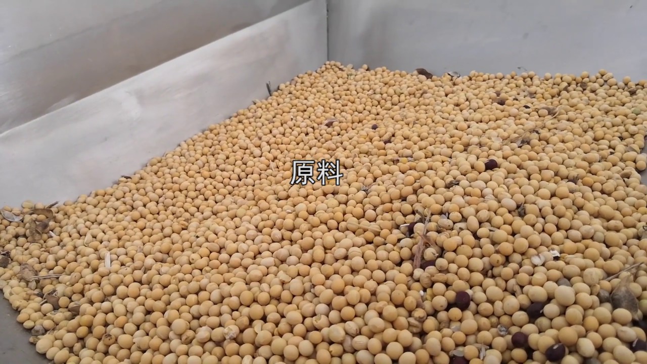 Soybeans color sorter,wesort soybeans color sorter - YouTube