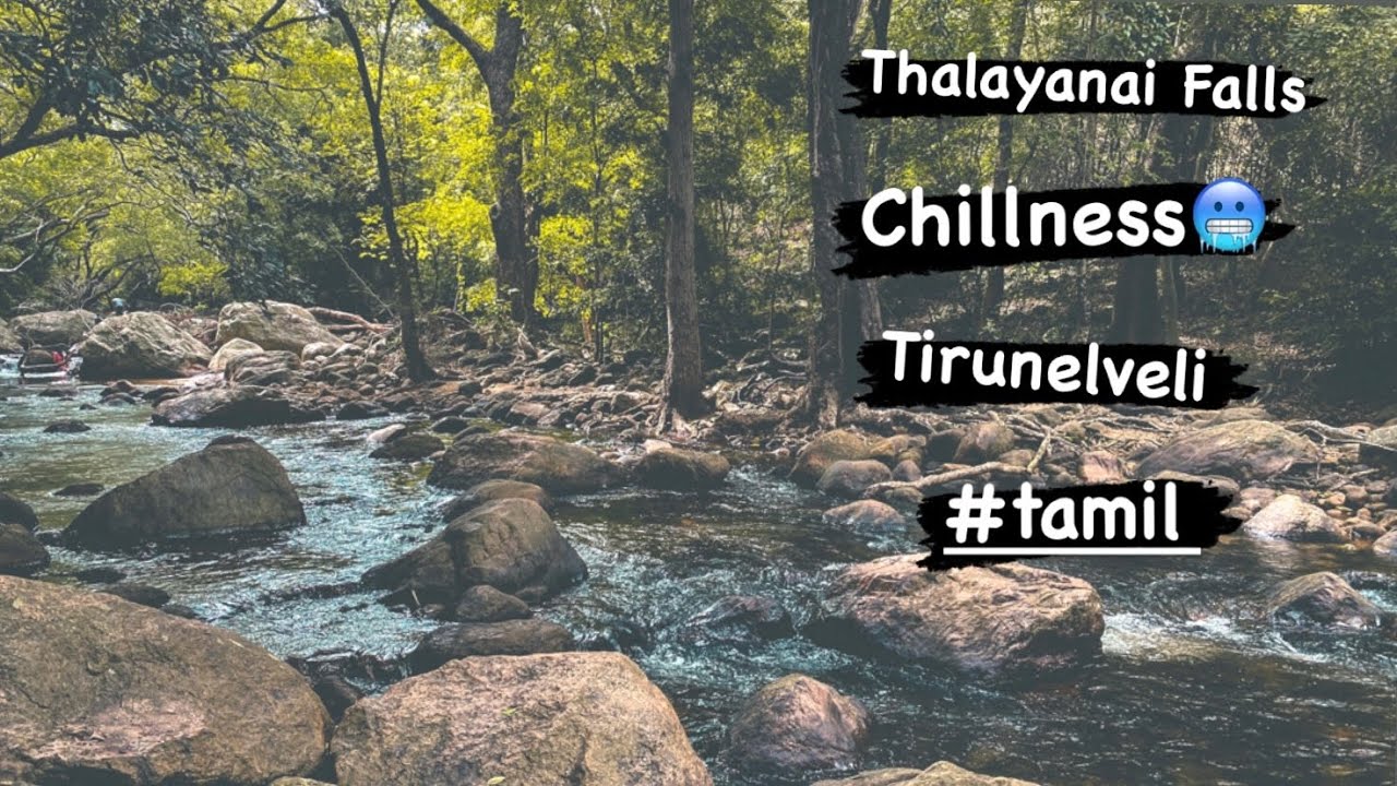Thalayanai Falls| Water Clarity| Super cooled 🥶| #tamil - YouTube