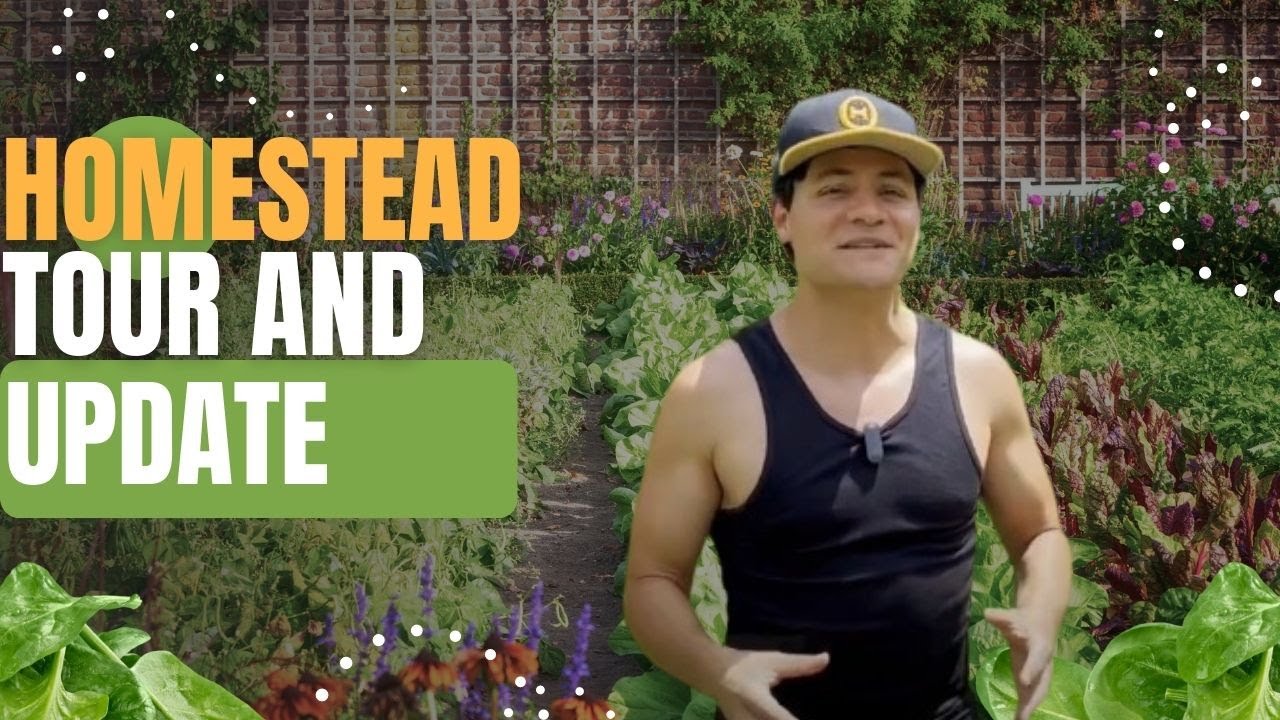 NOT Your Typical Homestead: A Tour and Update! - YouTube