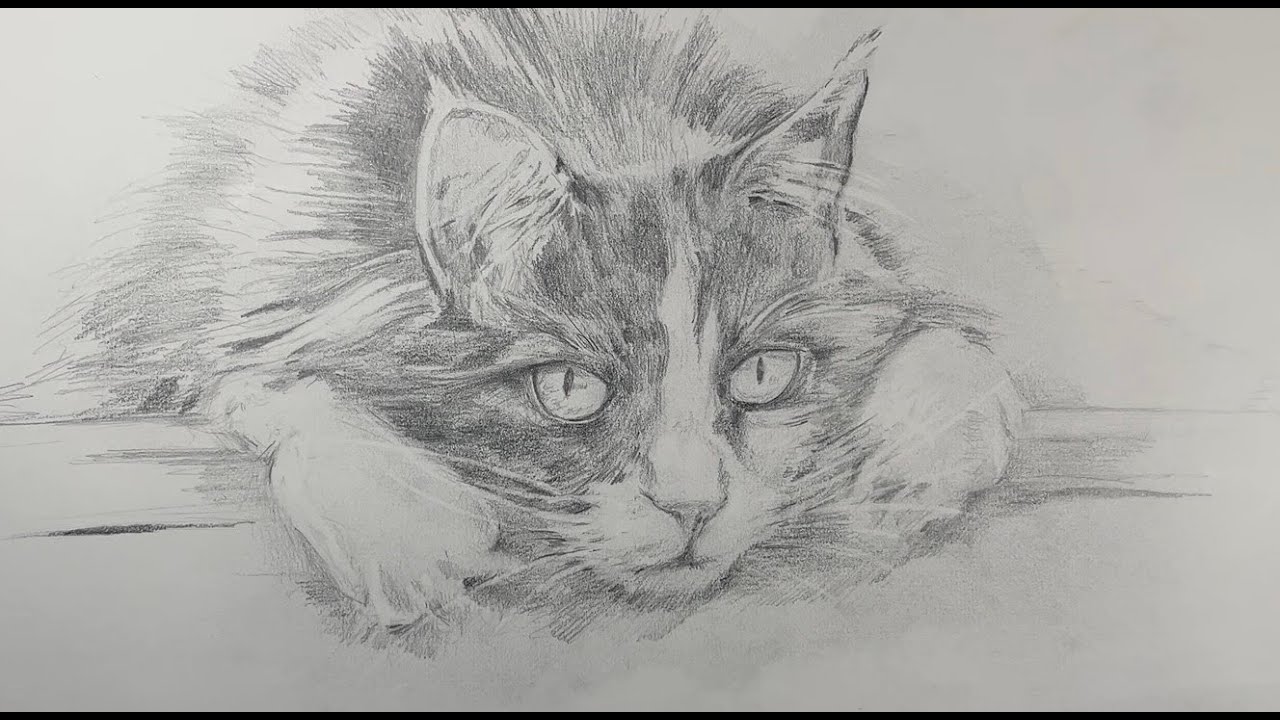 Drawing a Cute Kitten: Step-by-Step Tutorial - YouTube