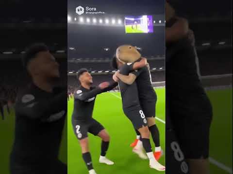 Professional Footballer Capy Papi vs London Train #soccer #futbol #football