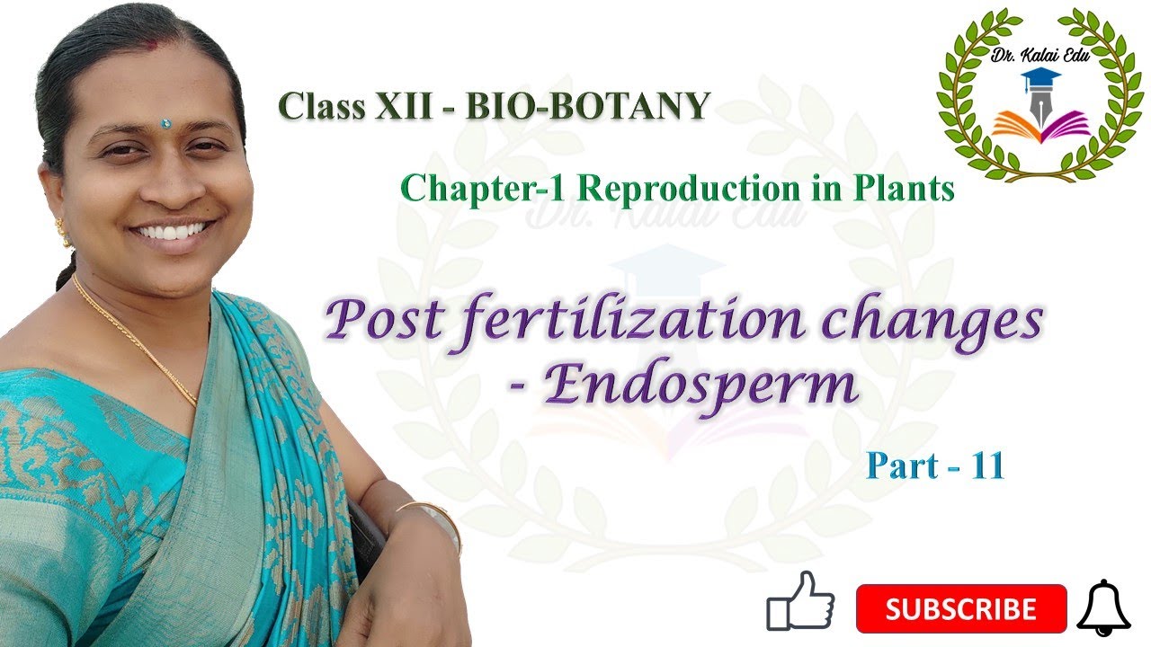 Post Fertilization Changes - Endosperm | Ch - 01 | Part 11 - YouTube