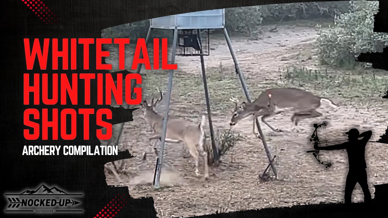 Whitetail Hunting Archery Shots Compilation - YouTube