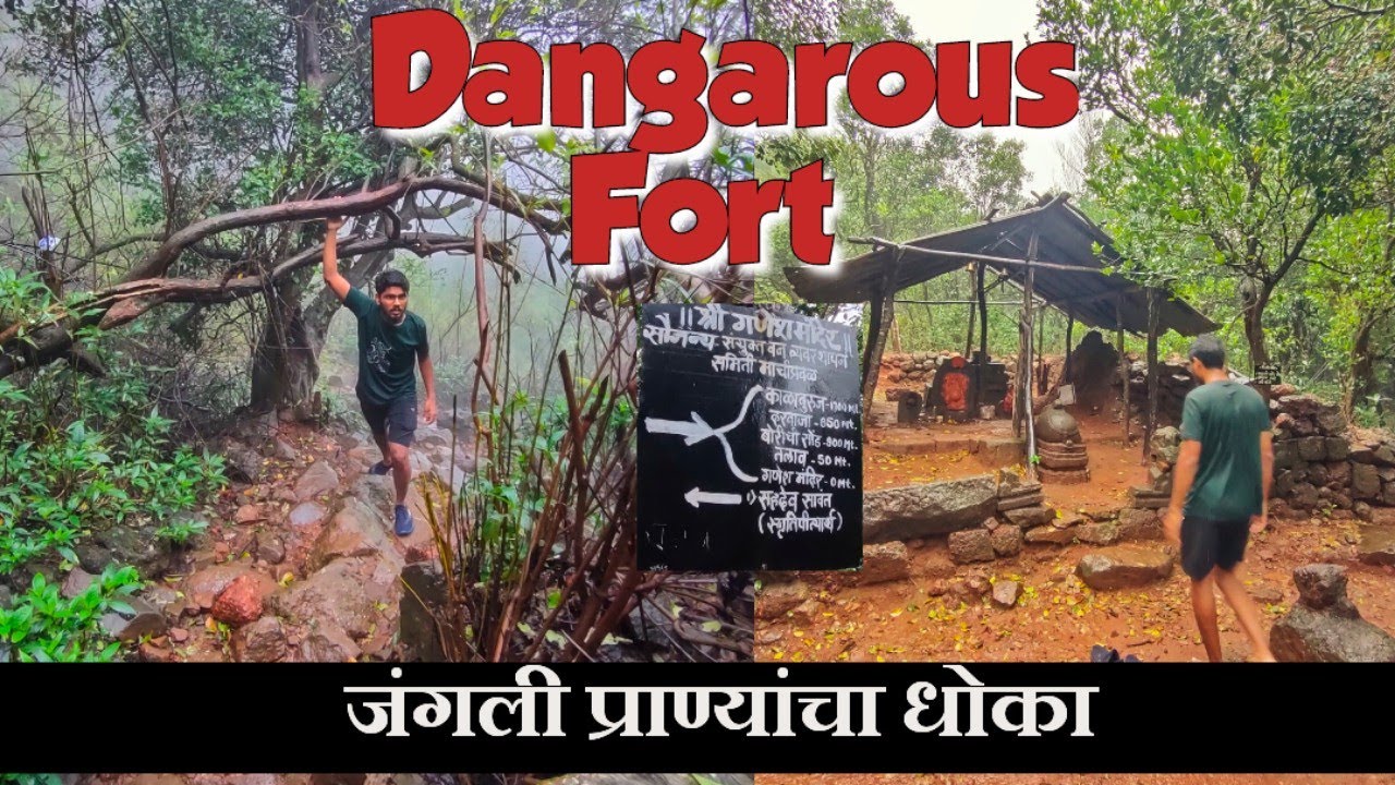 अत्यंत अवघड चढाई आणि घनदाट जंगल l Dangerous Fort trek l Prabalgad Fort ...