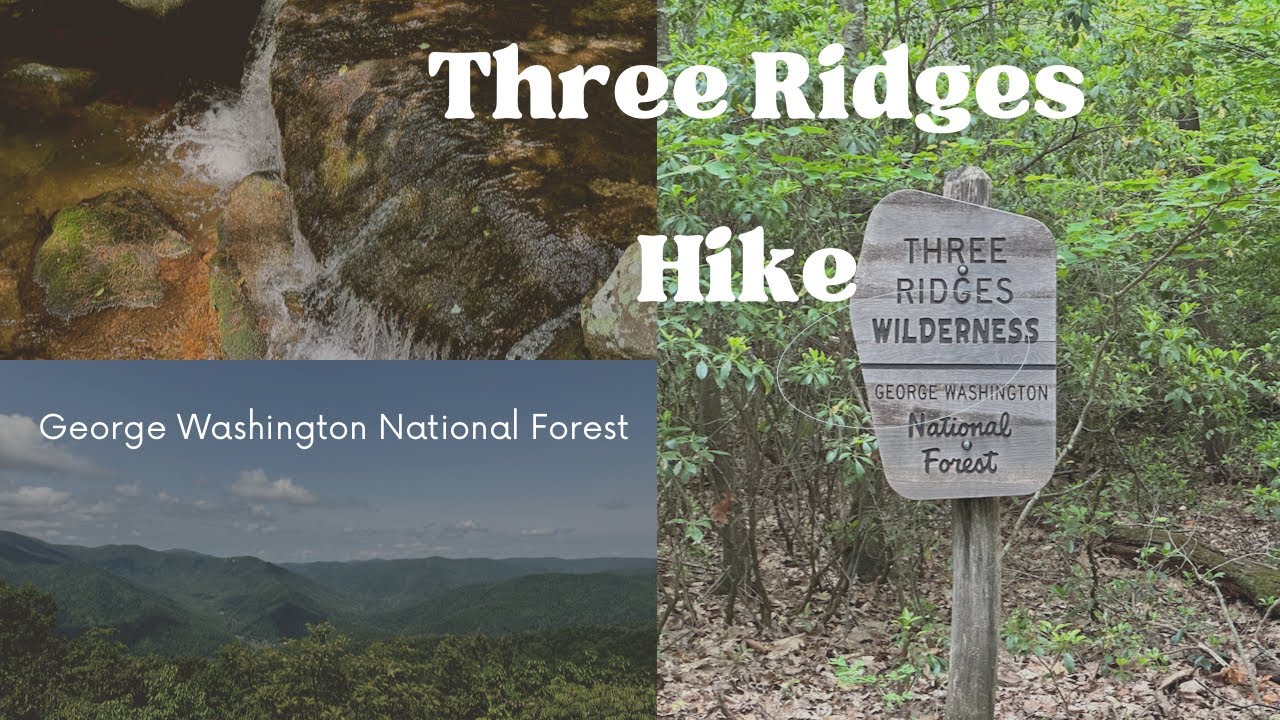 Hiking Three Ridges Trail | George Washington National Forest ...