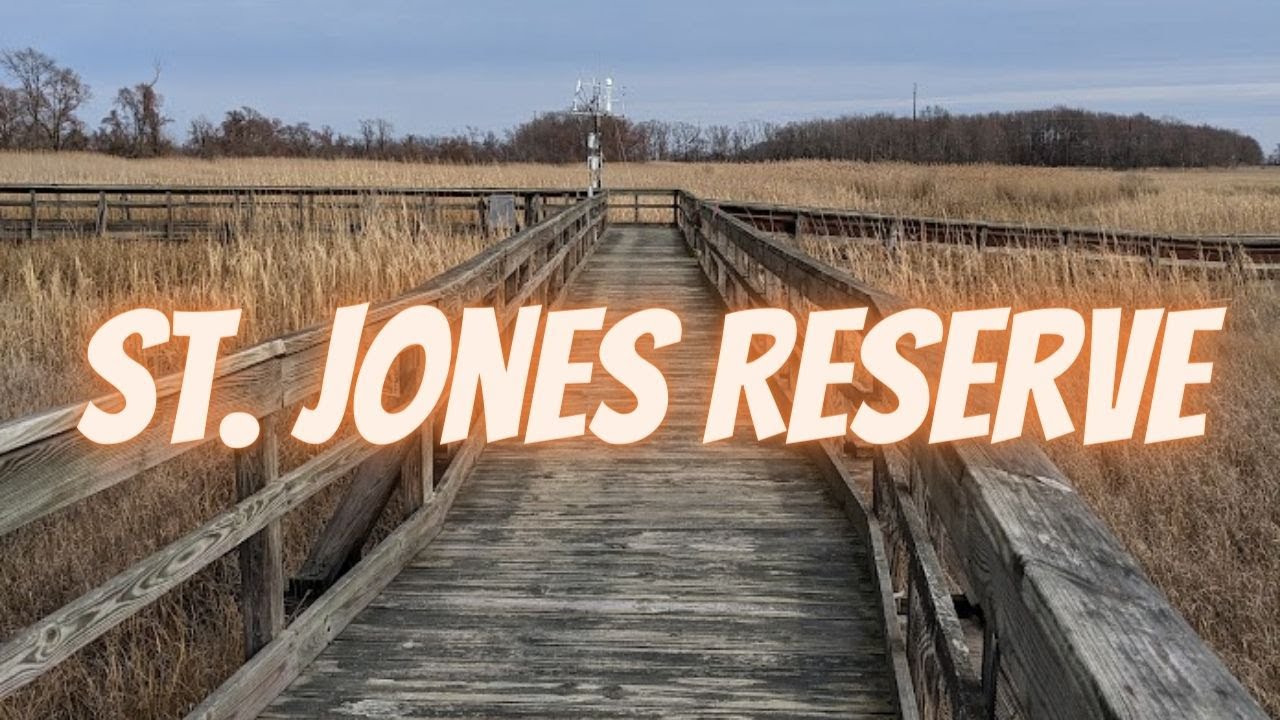 St. Jones Reserve - Hiking Through an Estuary - YouTube