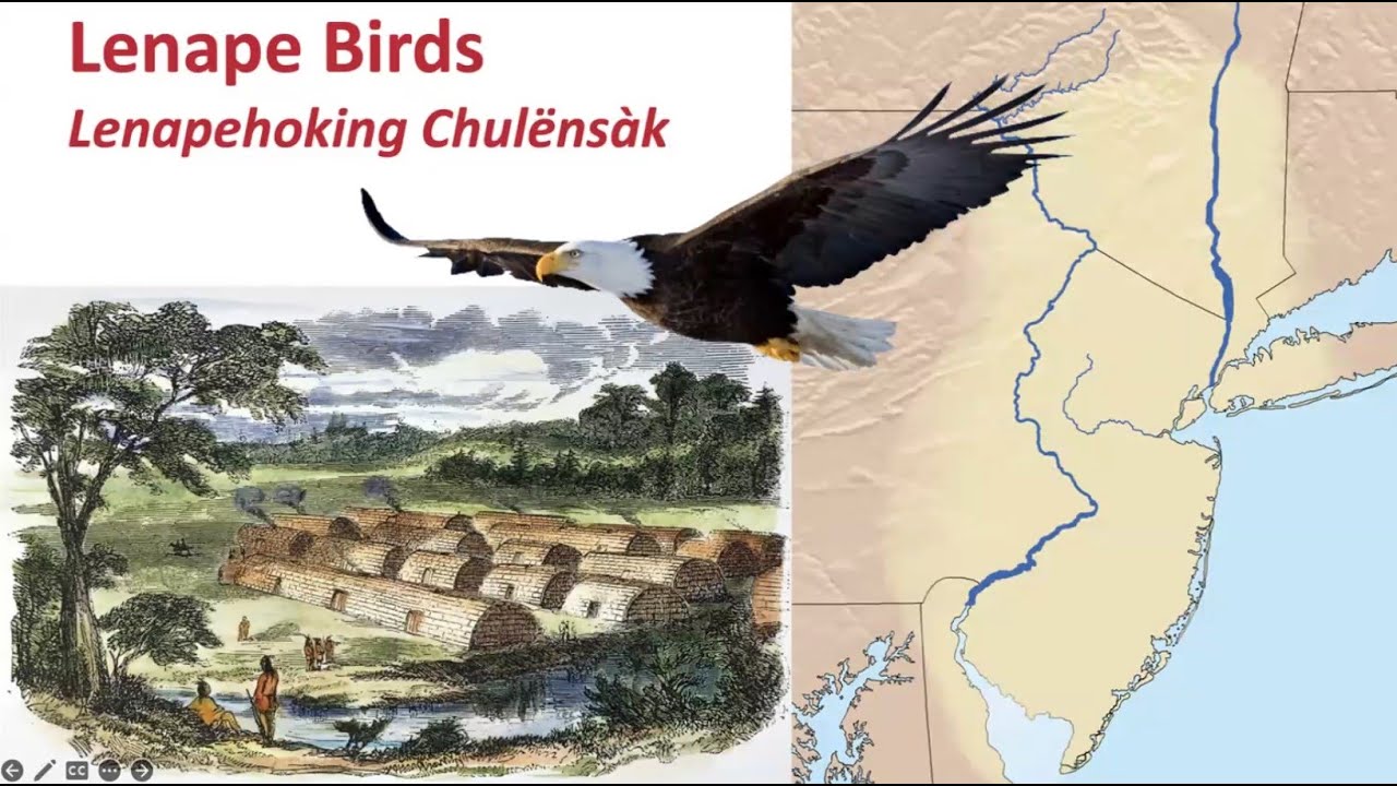 Lenape Birds – Bird Names and Stories From the Original Native ...