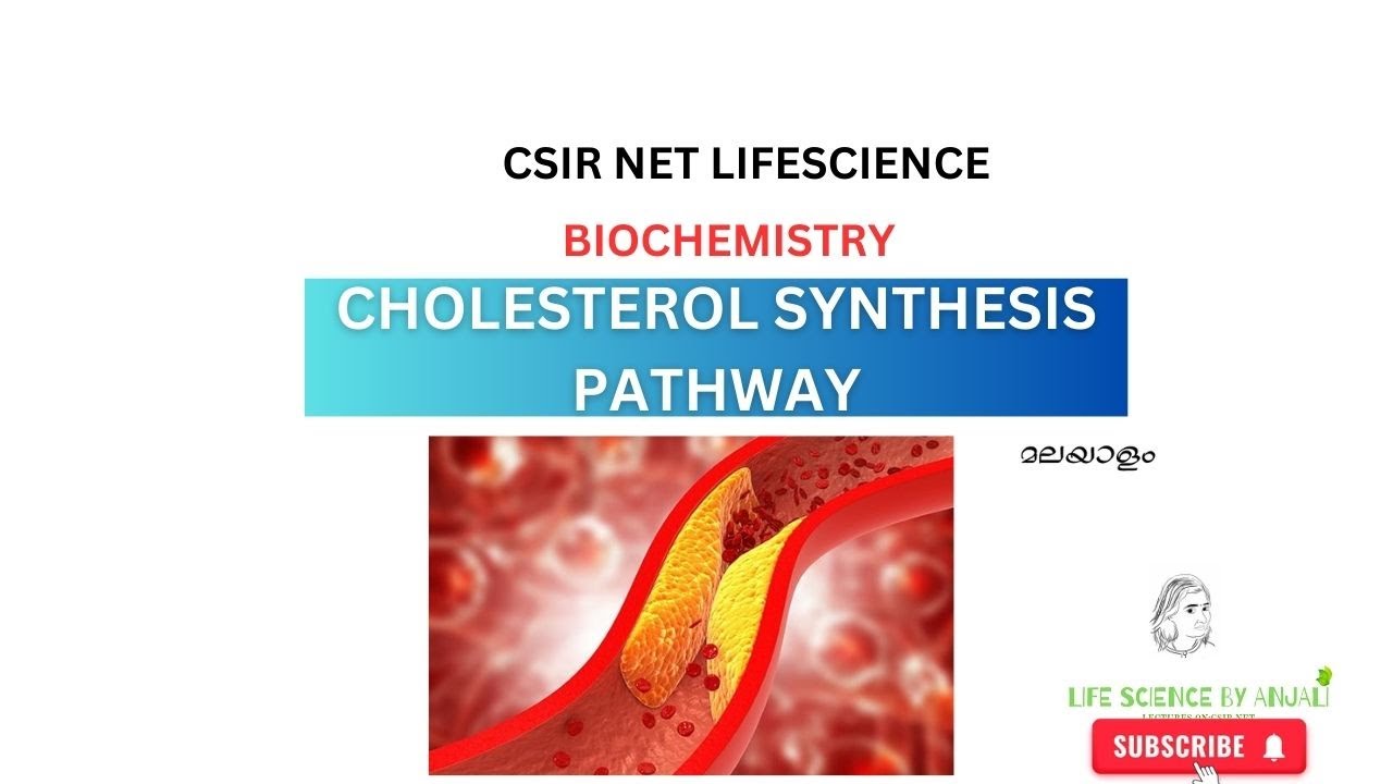 CHOLESTEROL SYNTHESIS PATHWAY/BIOCHEMISTRY/CSIR NET LIFE SCIENCE - YouTube