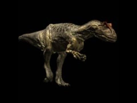 Ballad of Big Al & Walking with Dinosaurs - Allosaurus jimmadensi and Allosaurus fragilis