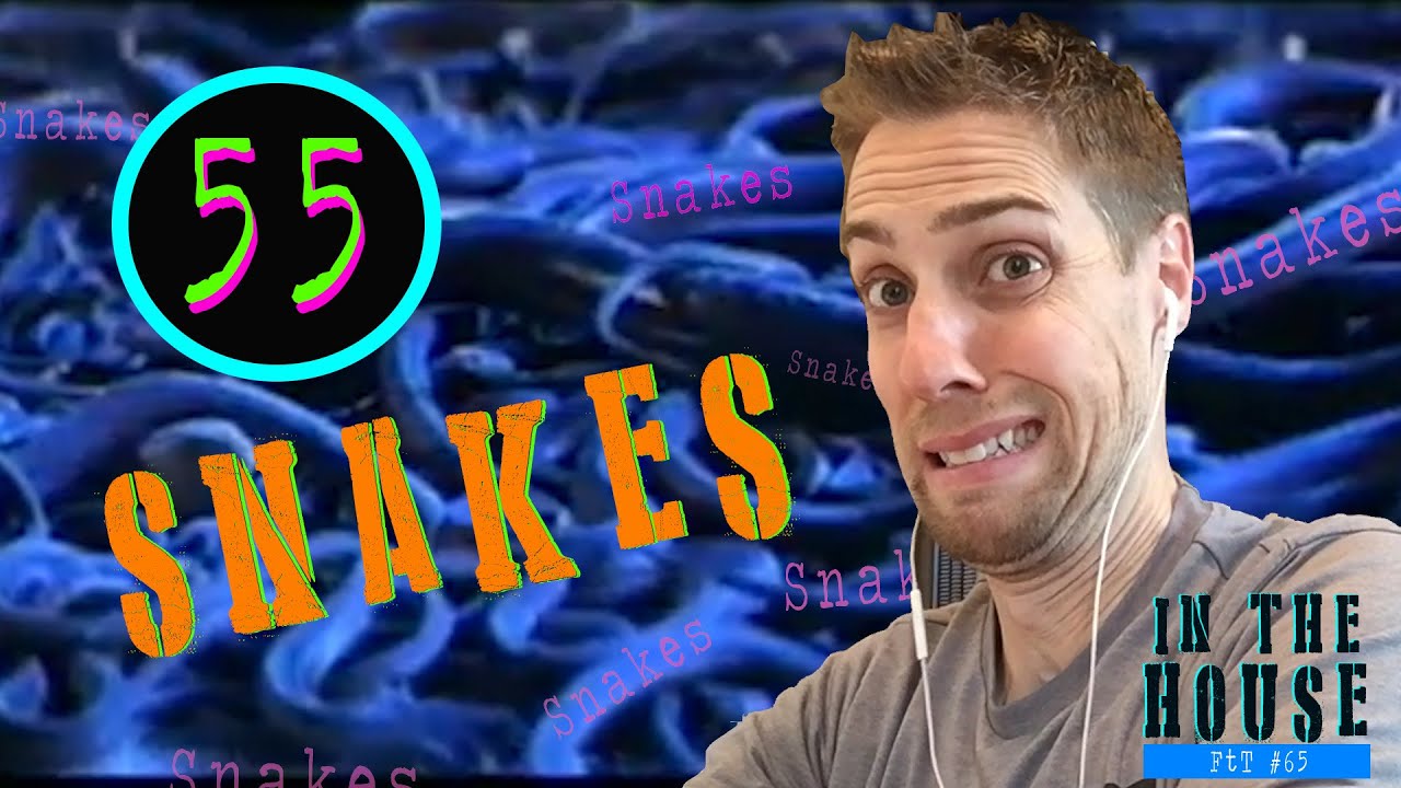 The Snake Infested Rental House- FtT#65 - YouTube