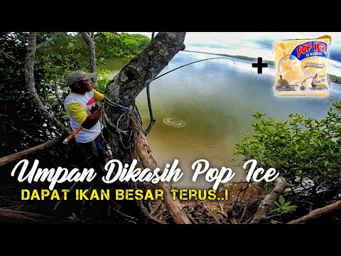 LUAR BIASA!!! BARU KALI INI LIAT PEMANCING DAPAT IKAN BELANAK BABON, UMPANNYA GAK MASUK AKAL...