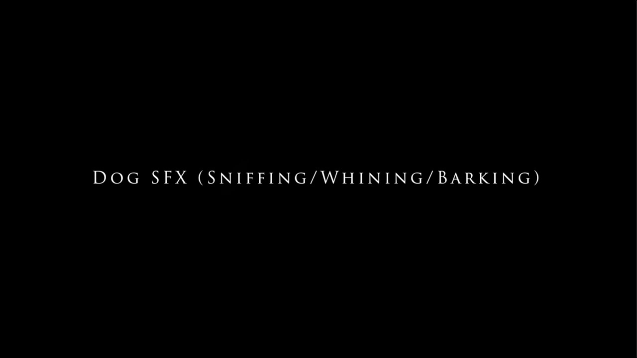 Sound Layering (3) Dog SFX - YouTube