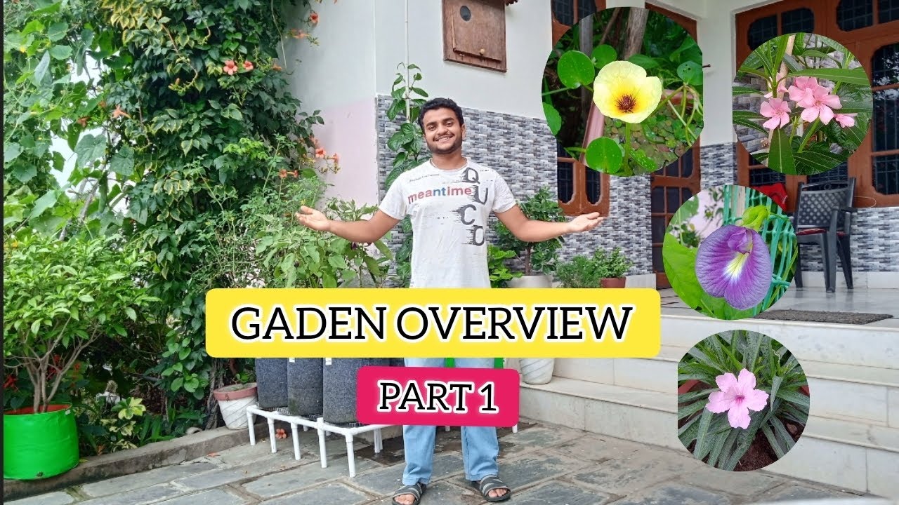 My garden overview || PART 1 || Indoor garden overview | Garden tour ...