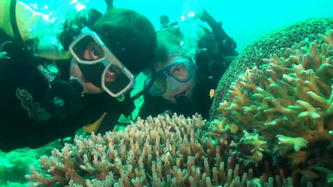 Sipalay City diving - YouTube