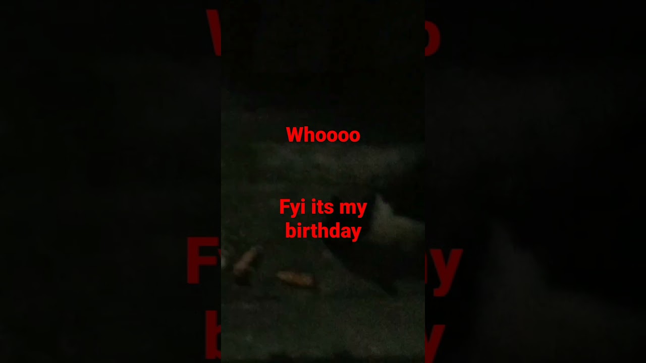 more catty watty - YouTube