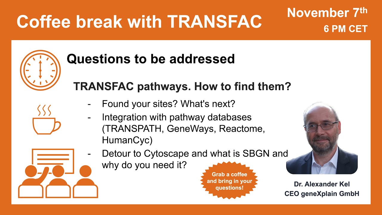 TRANSFAC pathways. How to find them? - YouTube