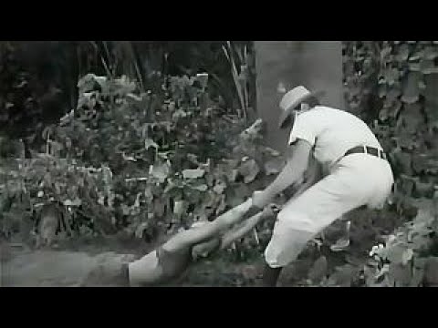 The Quicksand Chronicles ~ Captive Girl (1950) Sinking People Videos #72