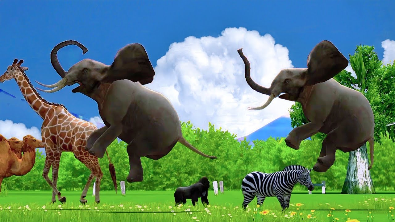 African Safari 4k, Africa wildlife, jungle animals, wildlife film ...