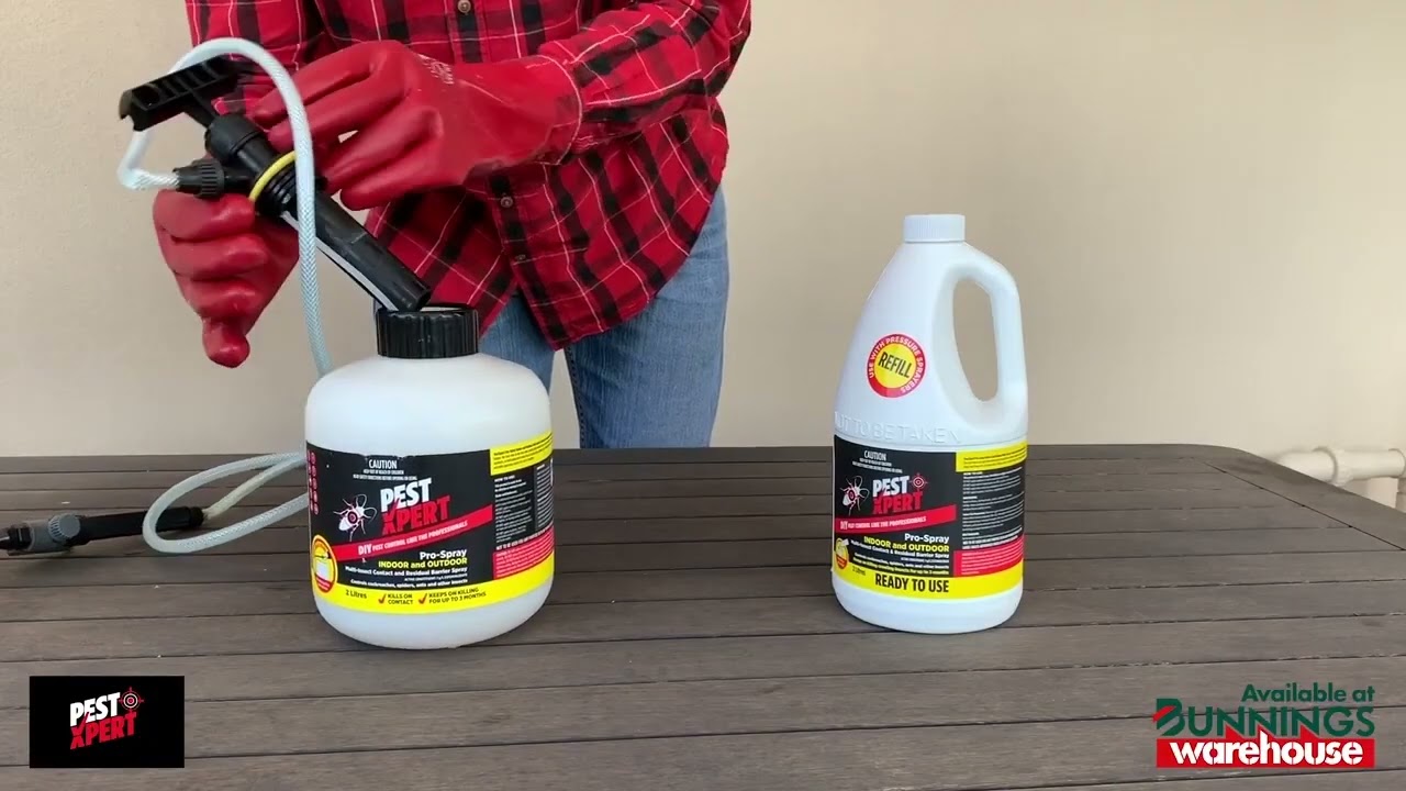 Pro-Spray Indoor and Outdoor Multi-Insect Spray - PestXpert