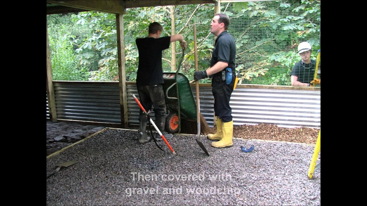 Building a large aviary for owls at the Barn Owl Trust - YouTube