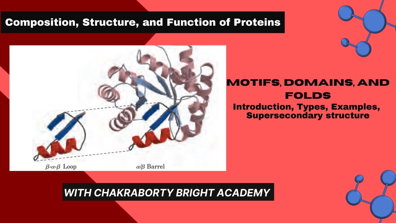 Motifs, Domains, and Folds II Introduction, Types, Examples, Super ...
