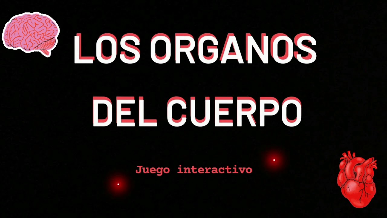 Juego los órganos del cuerpo - YouTube