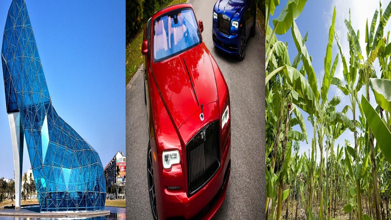 FACTS # | RANDOM FACTS # - YouTube