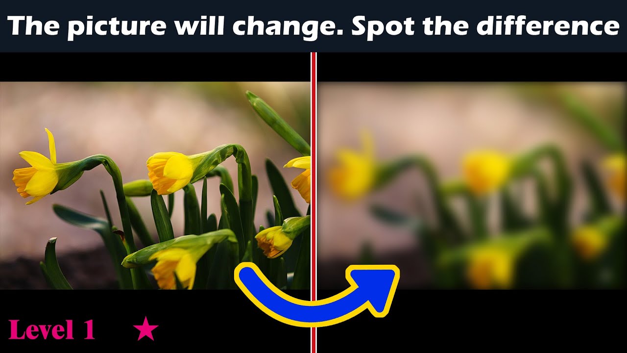 Spot the changing difference #292 | Pictures Puzzle | The photo will ...