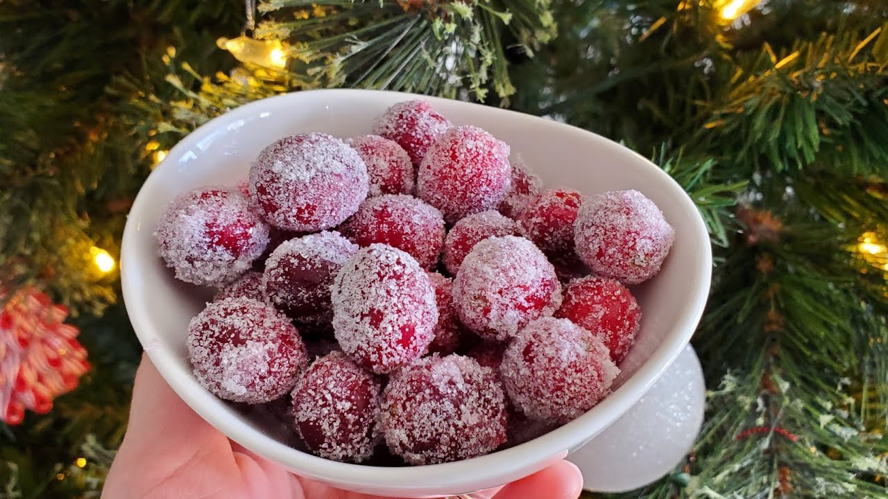 Easy Sugared Cranberries | Only 3 Ingredients - YouTube