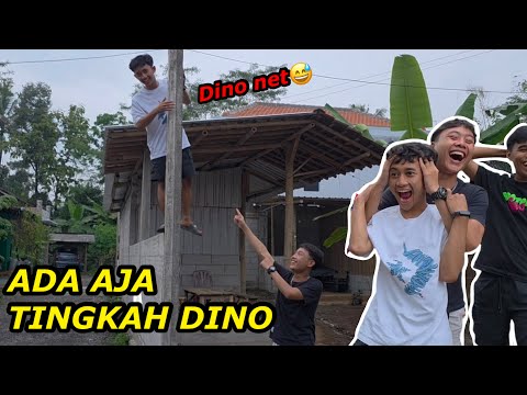 DINO HAS SOMETHING TO DO