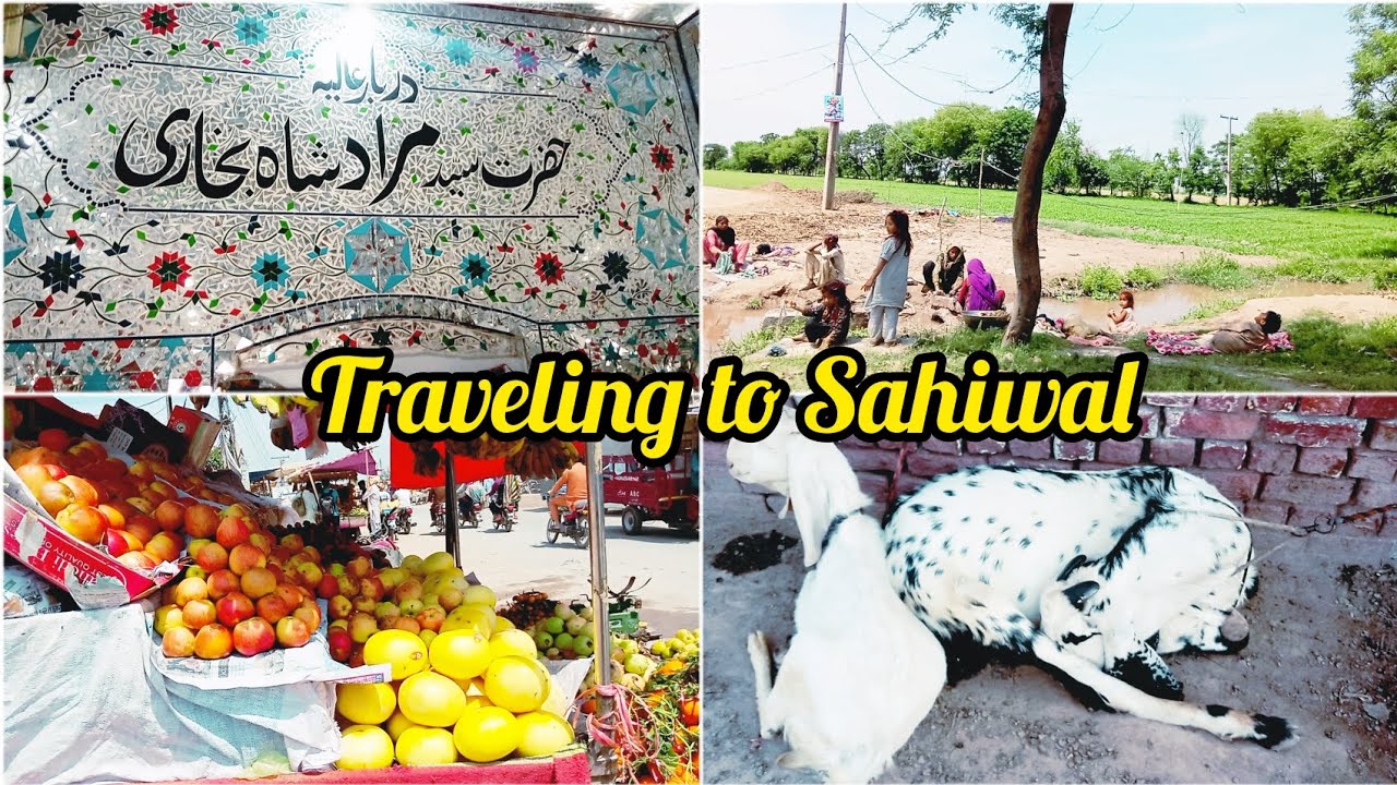 traveling to Sahiwal darbar Syed Murad Ali shah Rahmatullah. - YouTube