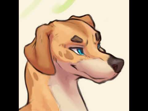 Livestream von Vepto - YouTube