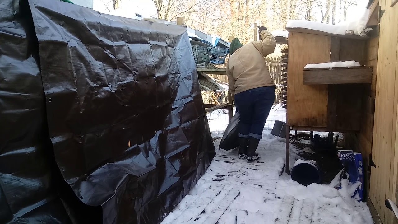Outdoor rabbitry - getting through winter - YouTube