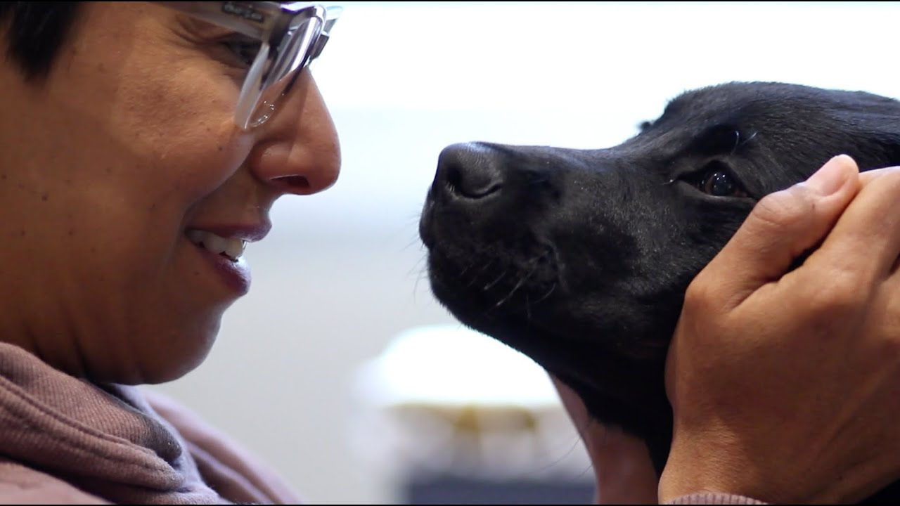 The Power of Puppy Raising - BC & Alberta Guide Dogs Puppy Training ...
