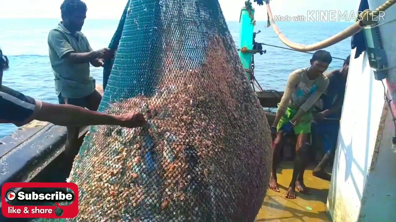 Indian fisherman fishing on the bot - YouTube