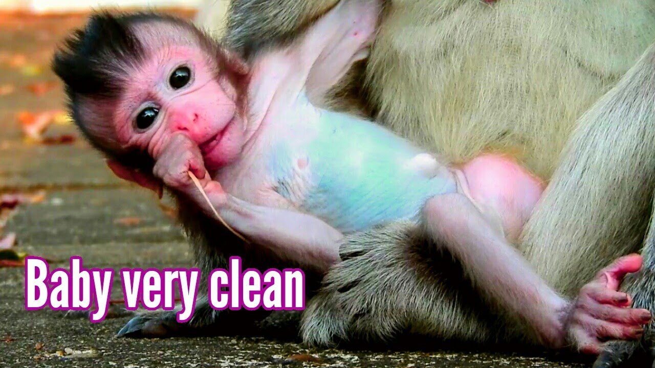 Wow, baby Emily very clean! Sometimes babies are happy, sometimes ...