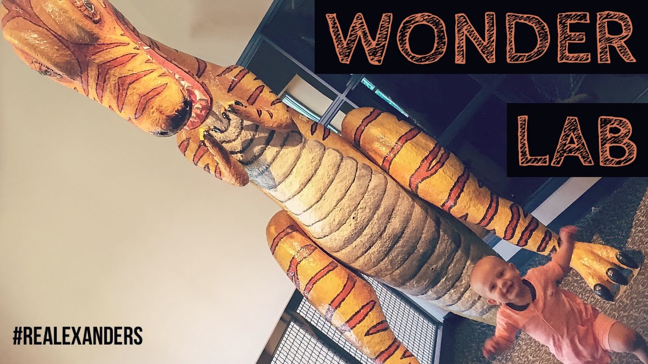 WONDERLAB MUSEUM - YouTube