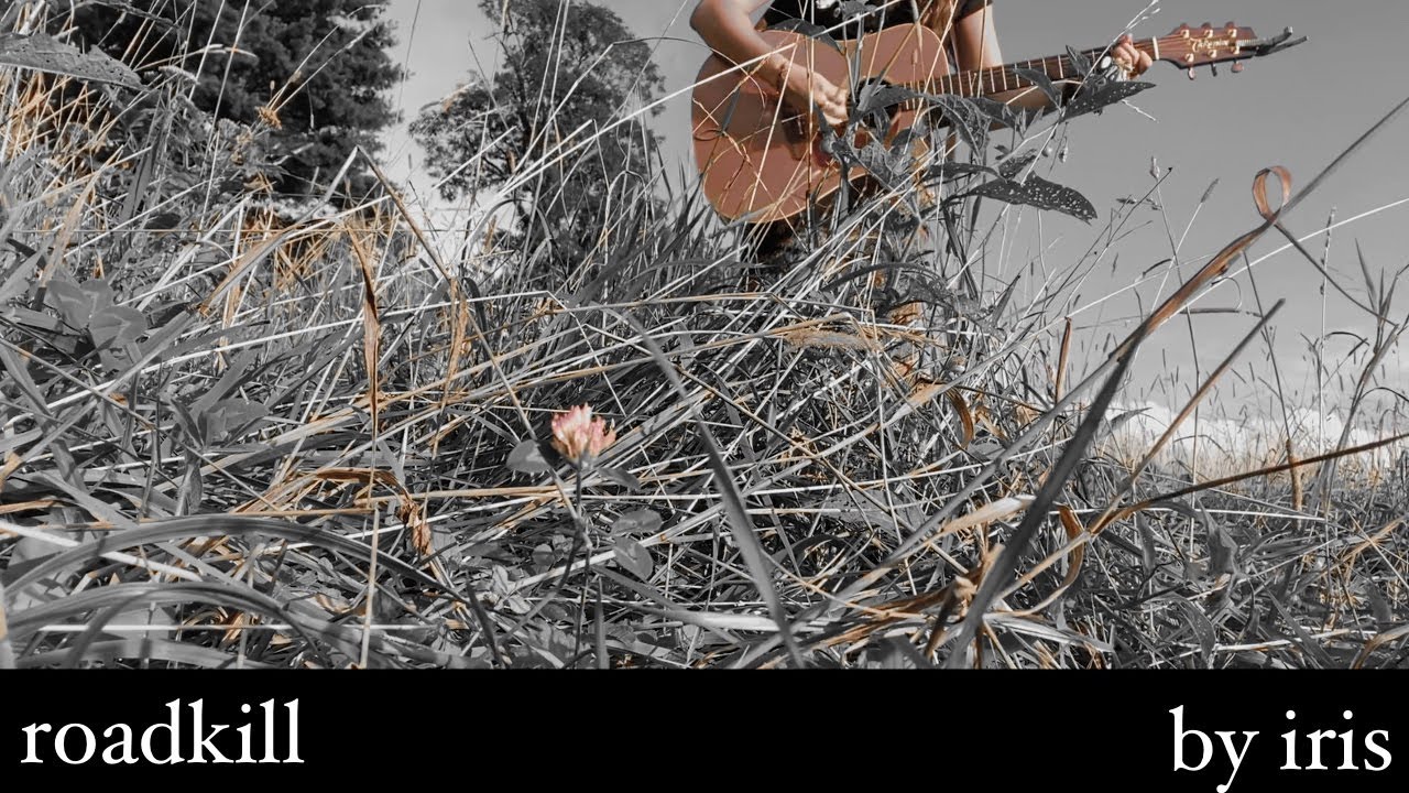 Roadkill (original tune) - YouTube