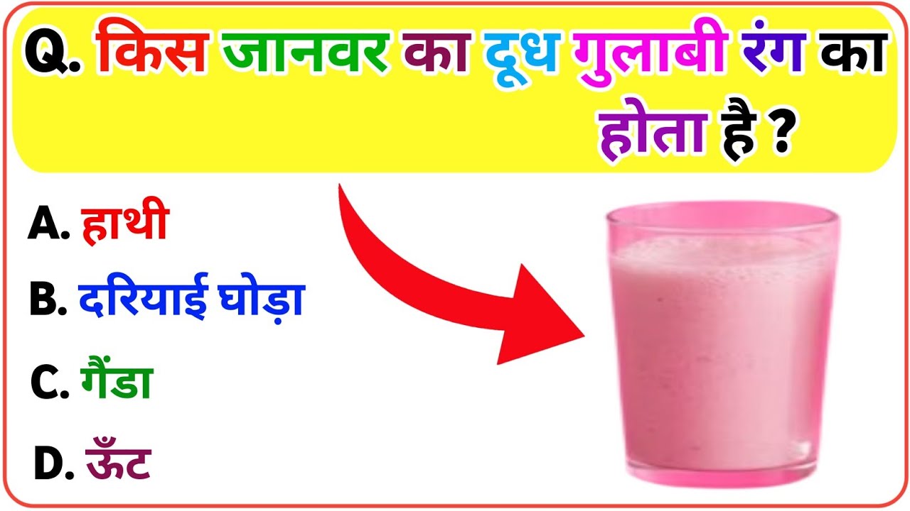 Most Important GK || GK Questions || General Knowledge || Gk Questions ...