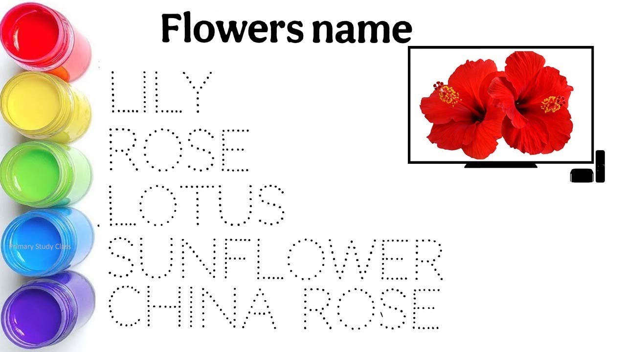 Lily Rose Lotus Sunflower China rose Learn flowers name in english for ...