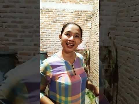 Kalau melayani suami sampe puas pokoknya #videos #vlog #hiburan #humor 