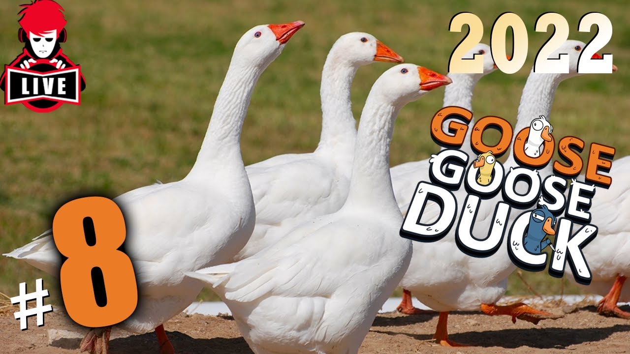 เซมากุห่านทั้งคลิปเลยเว้ย - LIVE - Goose Goose Duck! #8 - YouTube
