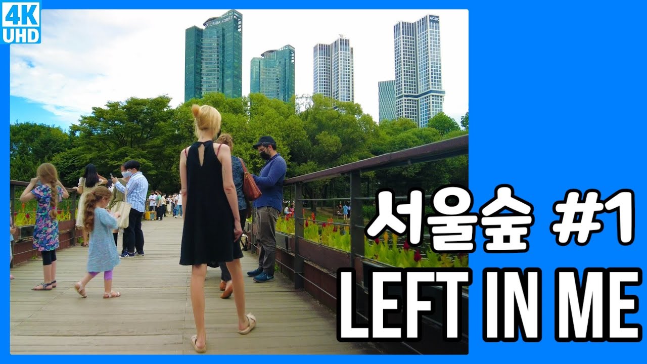 [Left In Me - Ray feat. Phawn] A view of a city park in Seoul 🎶 Music ...