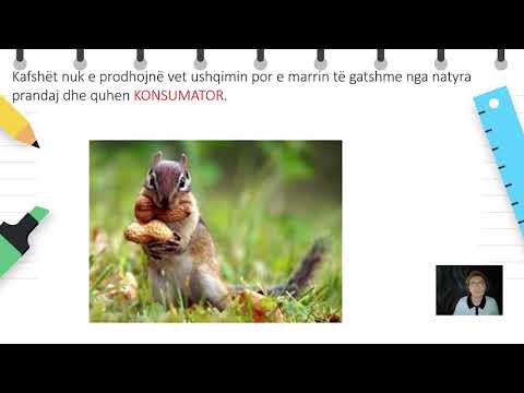 Klasa 3 - Shkencat Natyrore - Ushqimi i kafshëve - YouTube