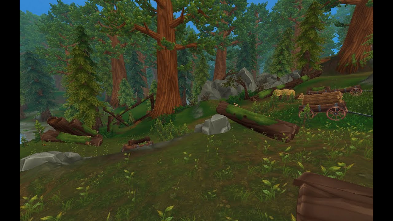 SSO | Musikvideo | Wildwoods - YouTube